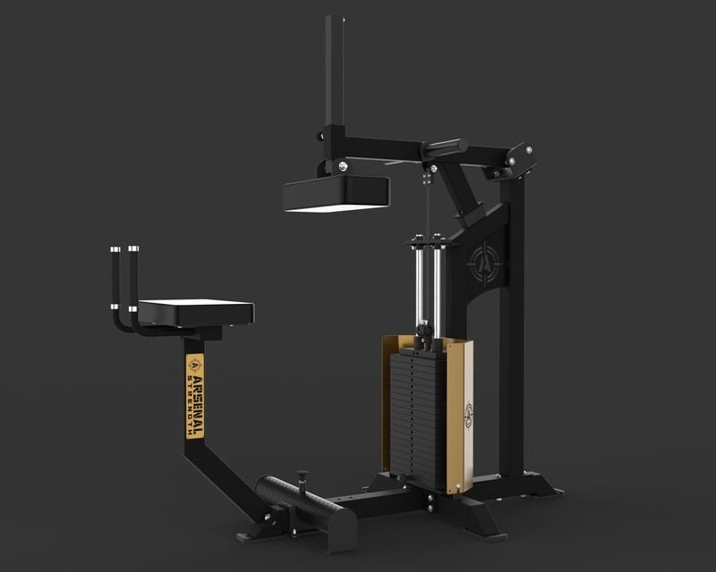 Home - Animal Paradise Gyms