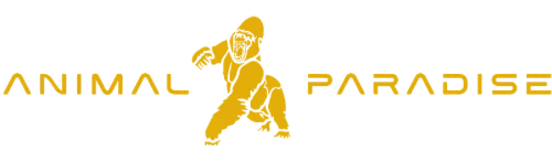 Testimonials - Animal Paradise Gyms
